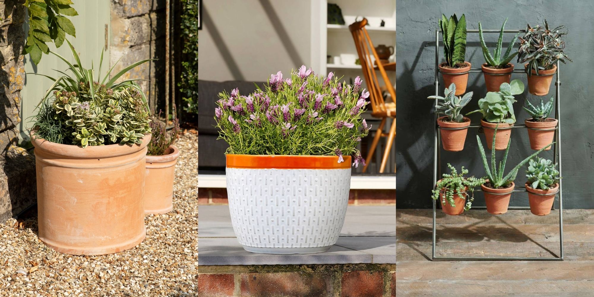 The Art of Choosing the Perfect Plant Pot: A Comprehensive Guide to ...